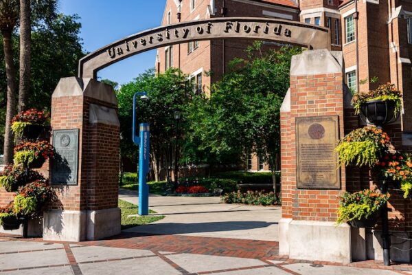 New Ivies: Class of 2028 Acceptance Rates - Top Tier Admissions