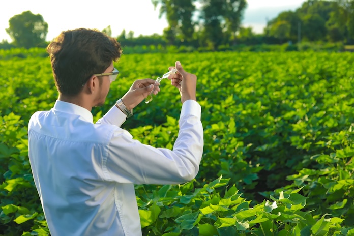 Strong Programs in Environmental Studies - Top Tier Admissions